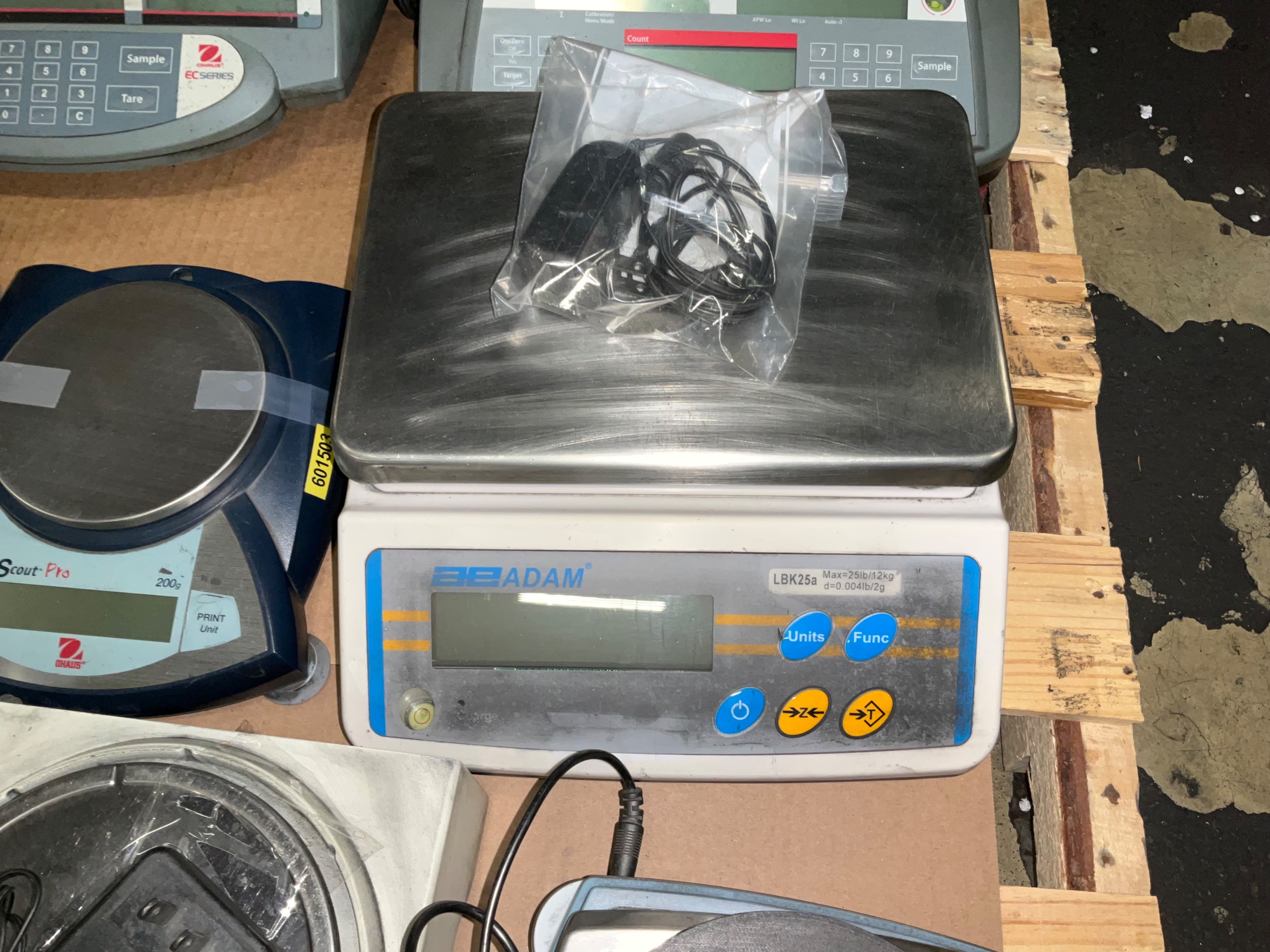 BULK QTY OF BENCH SCALES